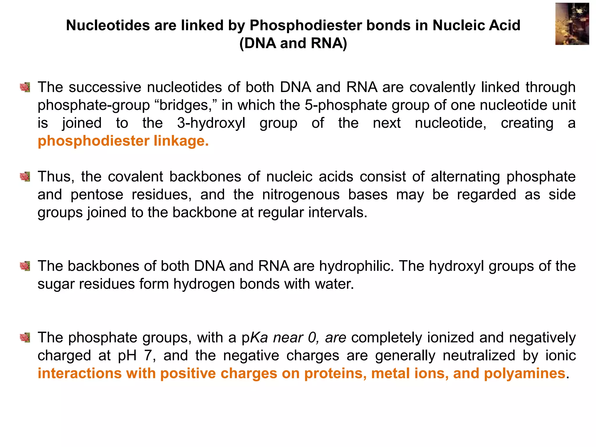 presentation_nucleic_acid__chemistry_1471270882_17307.ppt | Chemistry ...