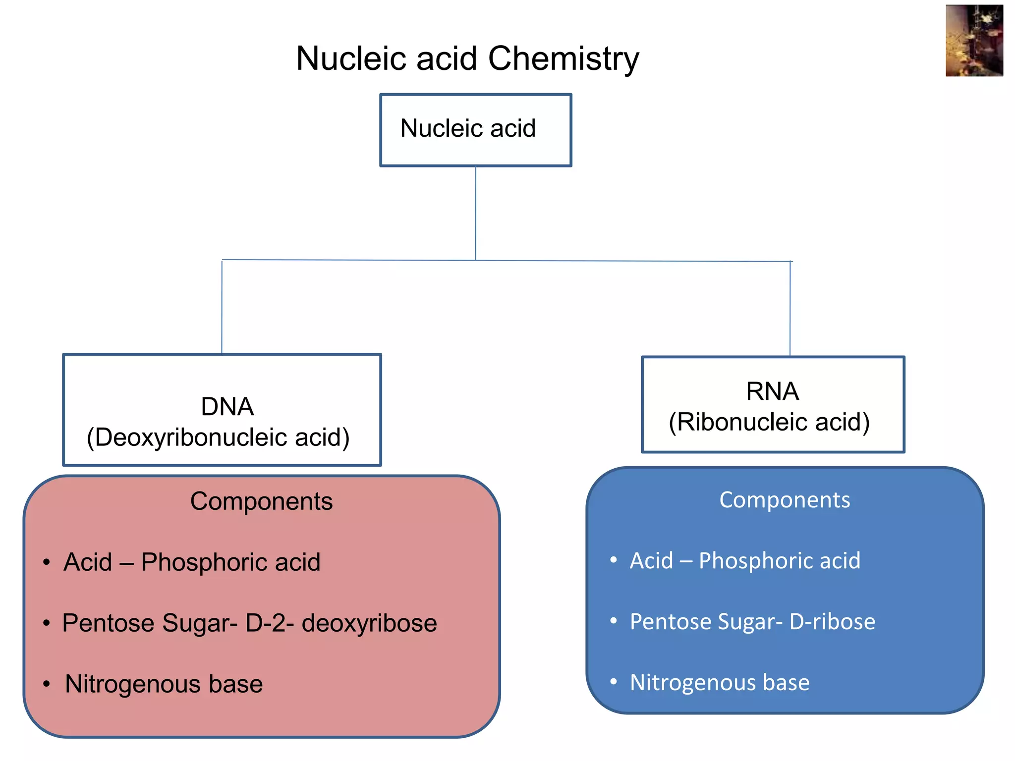 presentation_nucleic_acid__chemistry_1471270882_17307.ppt | Chemistry ...