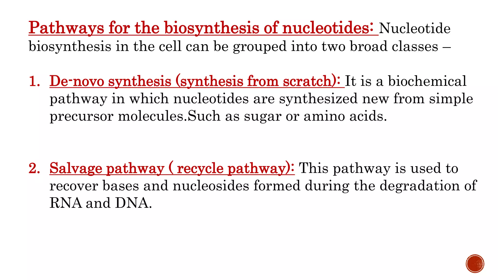 Nucleotide Metabolism | PPTX