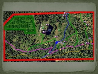 Northwest Trek Final Presentation Final | PPTX | Biological Sciences ...