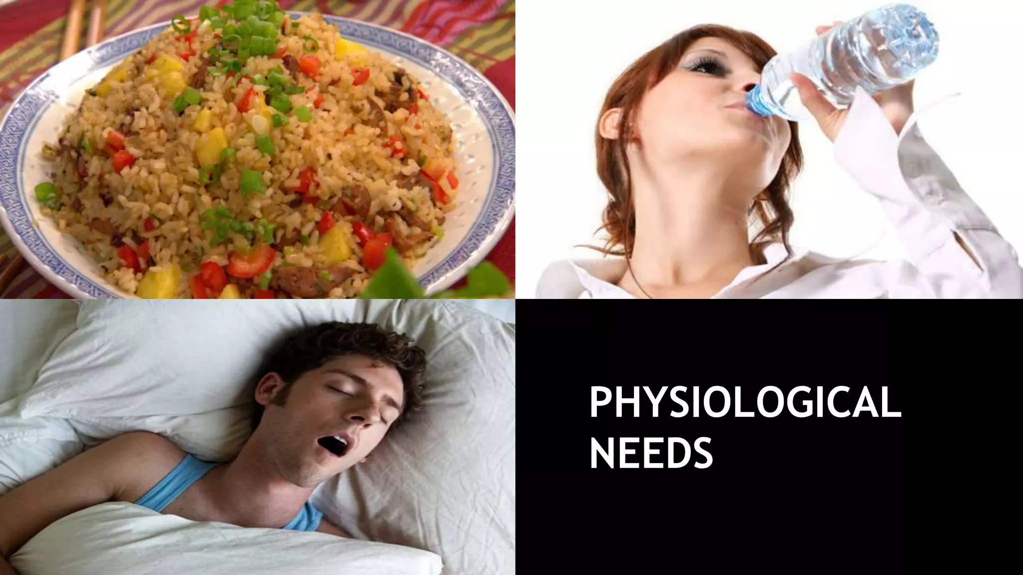 Three Important Theories of Motivation | PPT