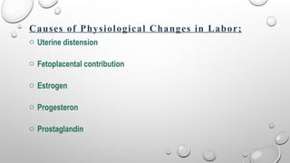 Physiological Changes in 1st & 2nd Stage of Labor | PPTX