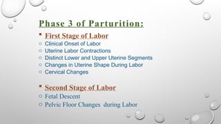 Physiological Changes in 1st & 2nd Stage of Labor | PPTX