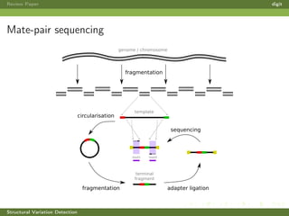 Structural Variation Detection | PDF