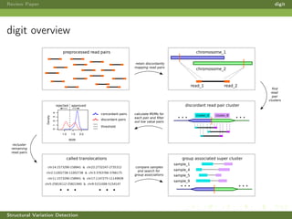 Structural Variation Detection | PDF