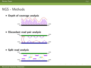 Structural Variation Detection | PDF