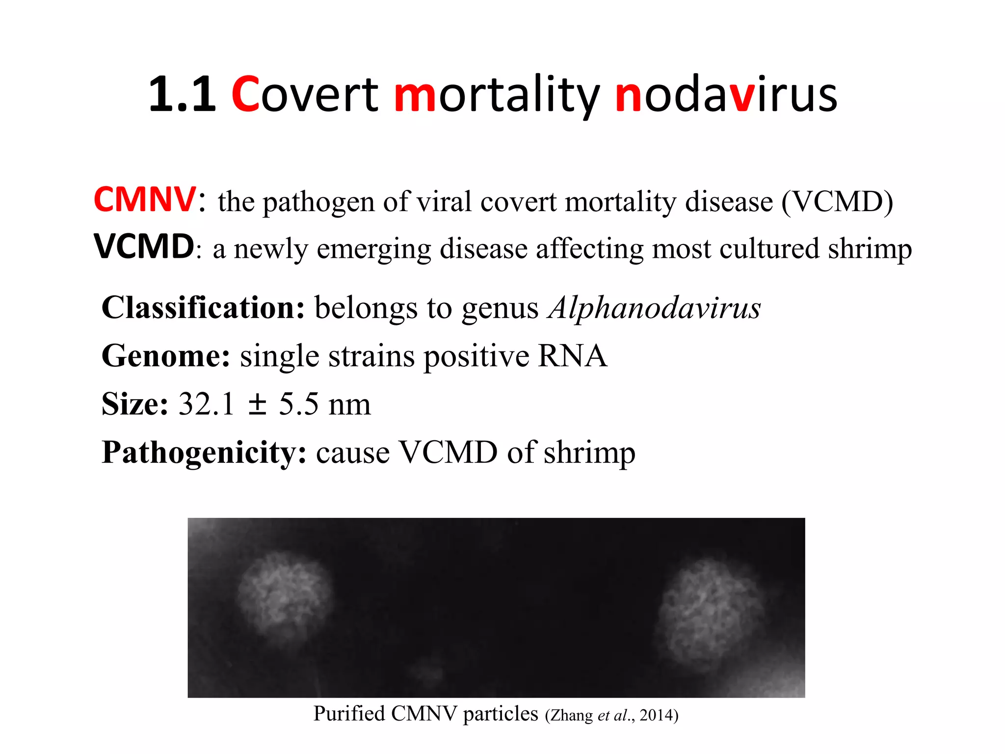 Evidences for cross-species infection in fish of covert mortality ...