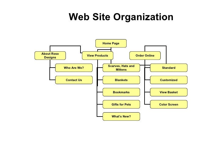 Samples of Database and Website Design