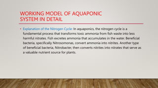 presentation of aquaponic system.baj.pptx