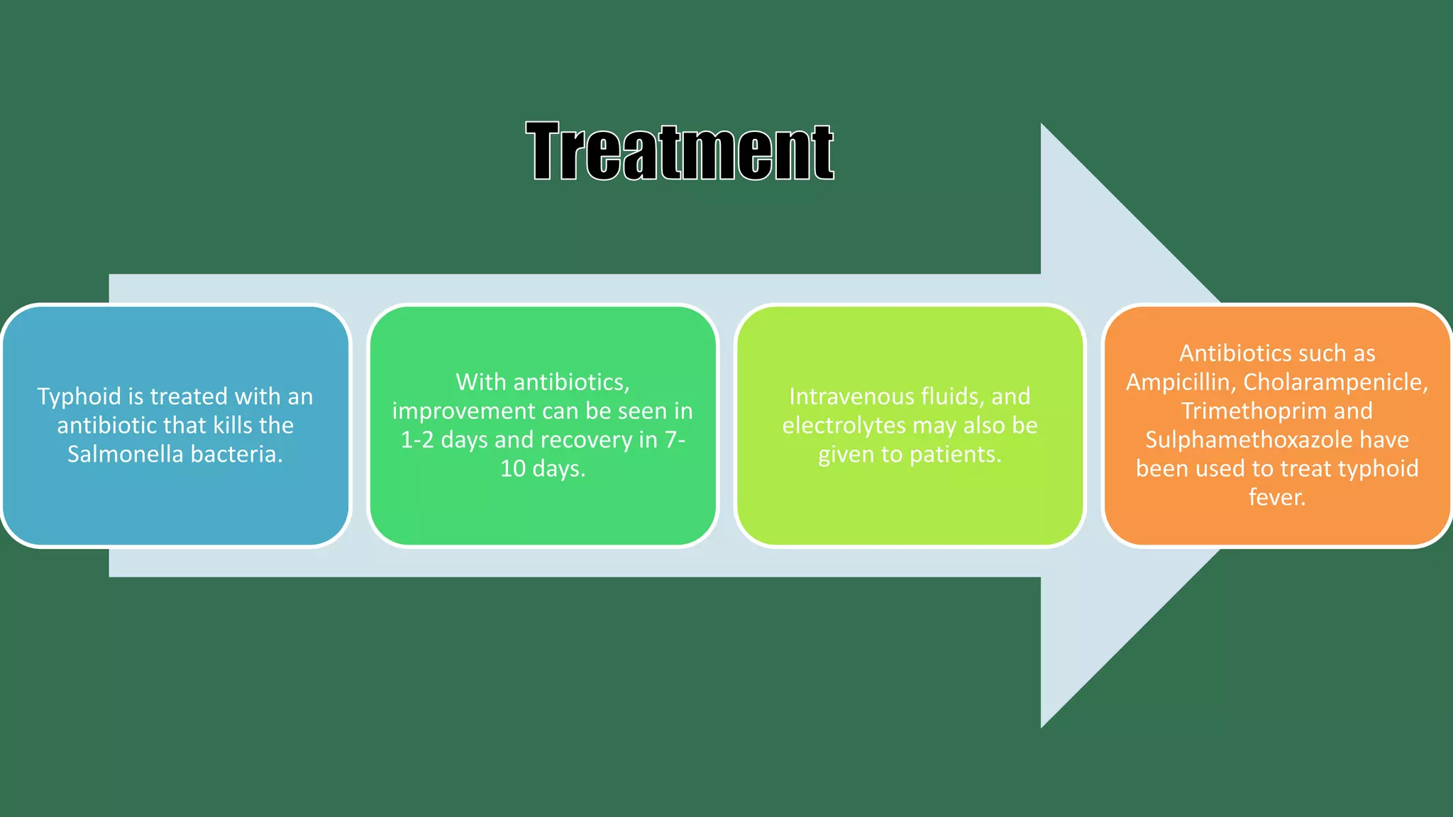 Presentation on Typhoid Fever | PPT