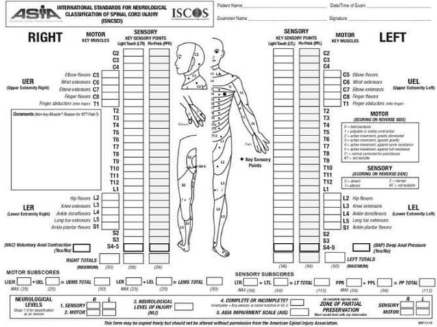 Presentation of atls 2018 | PPTX | First Aid | Injuries