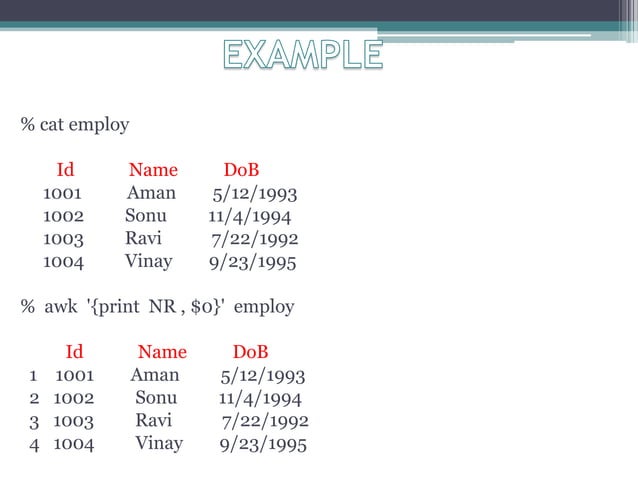 Presentation of awk | PPTX | Programming Languages | Computing