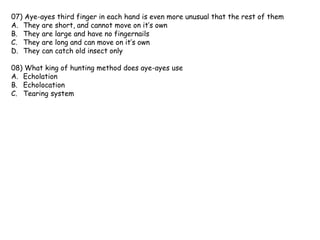 Presentation of aye ayes | PPTX | Africa Travel | Travel Locations