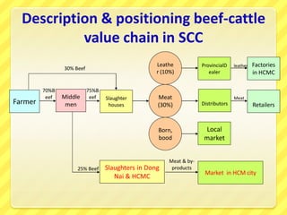 Presentation of beef cattle value chains 04 mar-2013_english | PDF