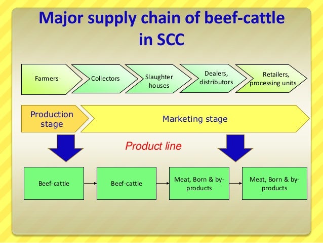 Presentation of beef cattle value chains 04 mar-2013_english