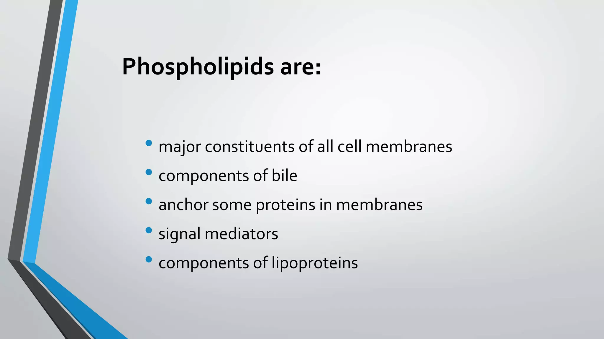 PHOSPHOLIPIDS, GLYCEROPHOSPHOLIPIDS, SPHINGOMYELIN AND GLYCOLIPIDS | PPTX