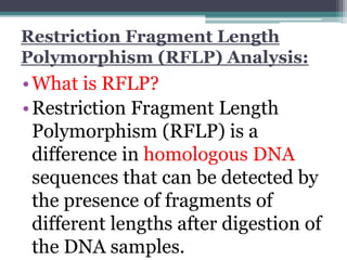 Applications of Southern Blotting | PPTX | Endocrine and Metabolic ...