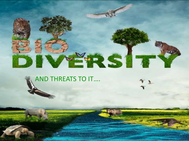 Presentation of biodiversity | PPTX | Biological Sciences | Science