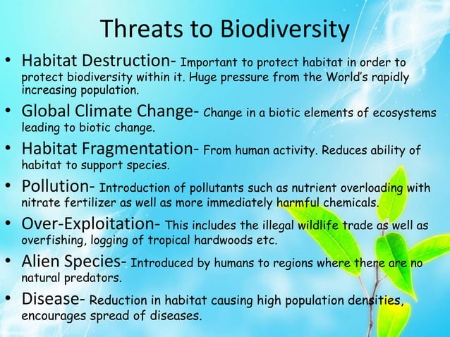 Presentation of biodiversity | PPTX | Biological Sciences | Science