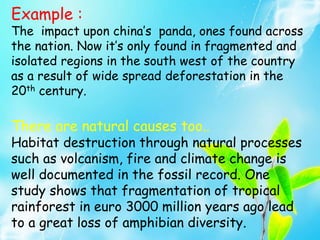 Presentation of biodiversity | PPTX