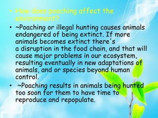 Presentation of biodiversity | PPTX | Biological Sciences | Science