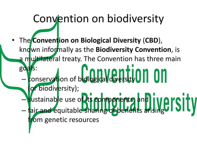 Presentation of biodiversity | PPTX | Biological Sciences | Science