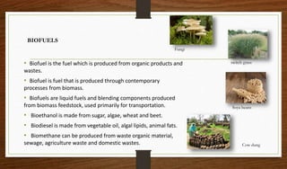 Biofuels | PPTX