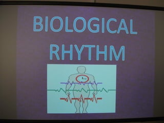 Presentation of biological rhythm | PPT