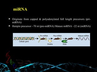miRNA & siRNA | PPT