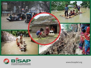 Presentation of BISAP design by NOMAN.pdf