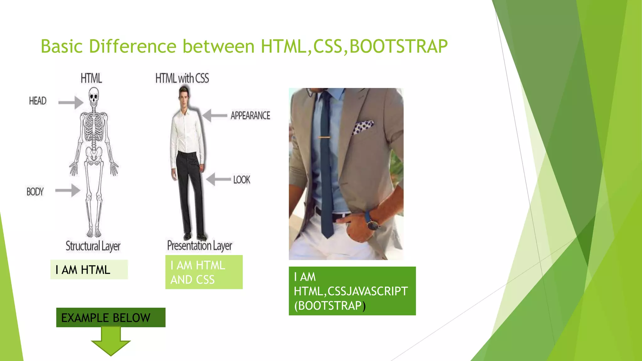 Presentation of bootstrap | PPTX