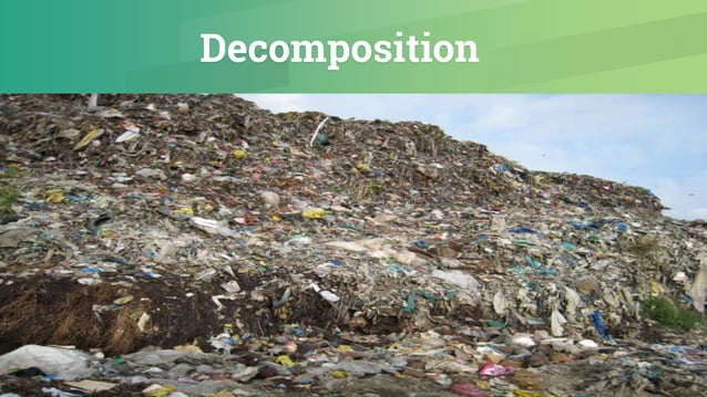 Solid Waste Disposal into Land | PPT
