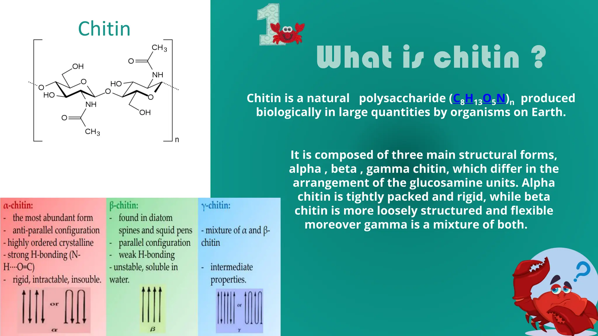 presentation of chitin : extraction et application .pptx