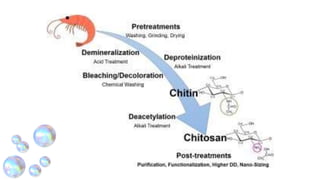 presentation of chitin : extraction et application .pptx