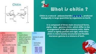 presentation of chitin : extraction et application .pptx
