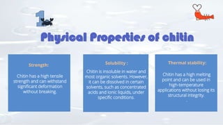 presentation of chitin : extraction et application .pptx