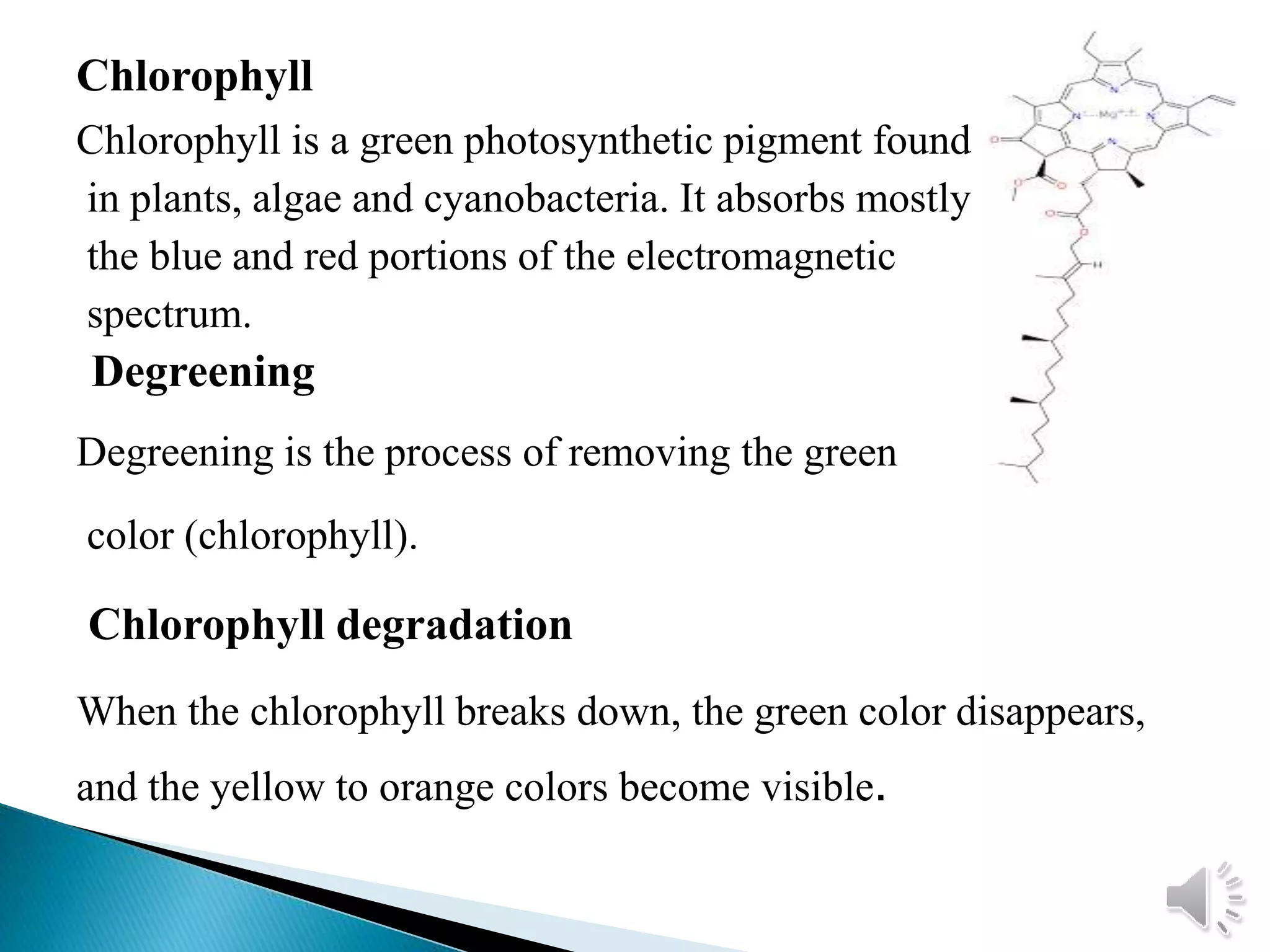 Fate of chlorophyll degradation | PPTX