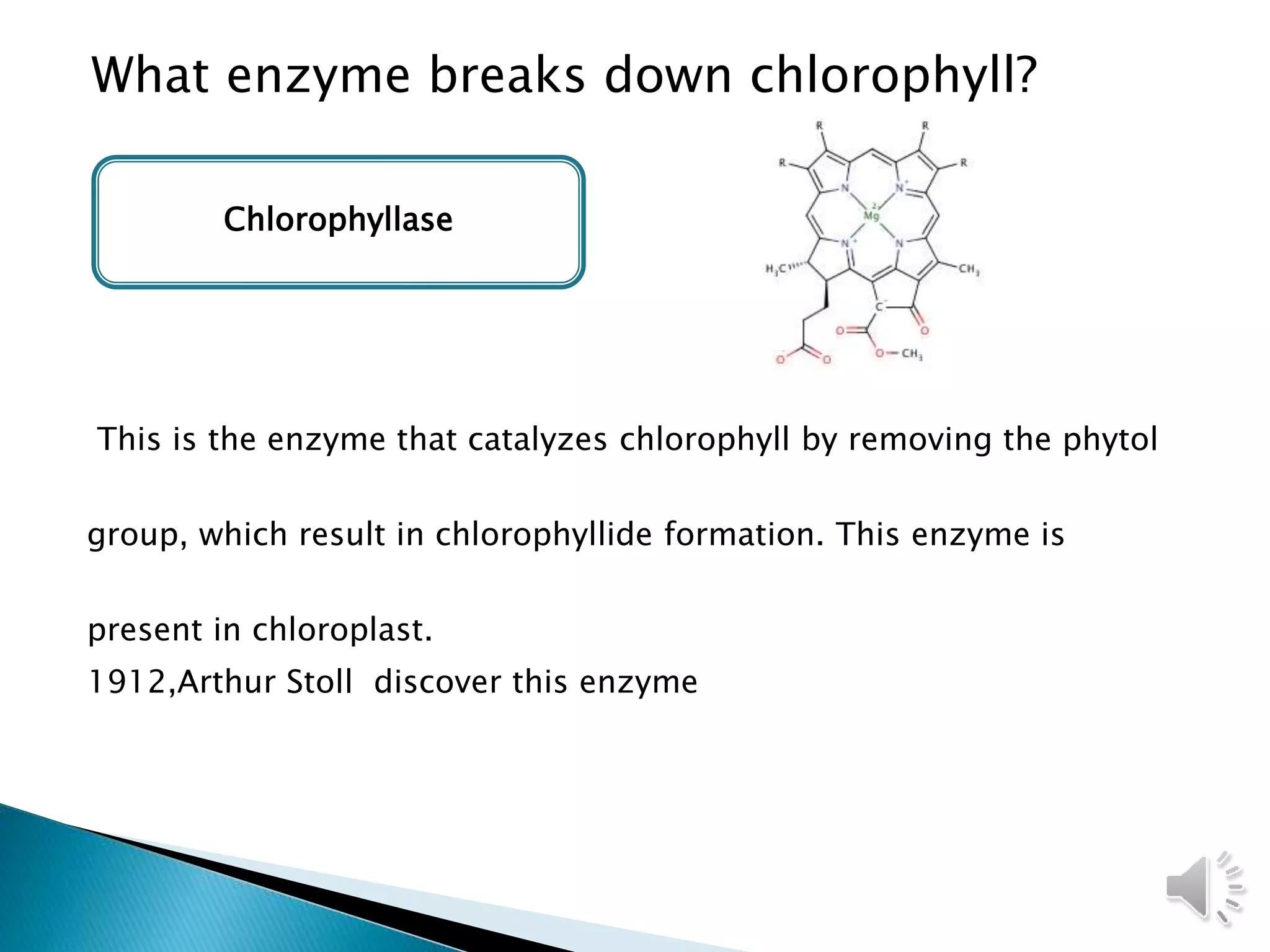 Fate of chlorophyll degradation | PPTX