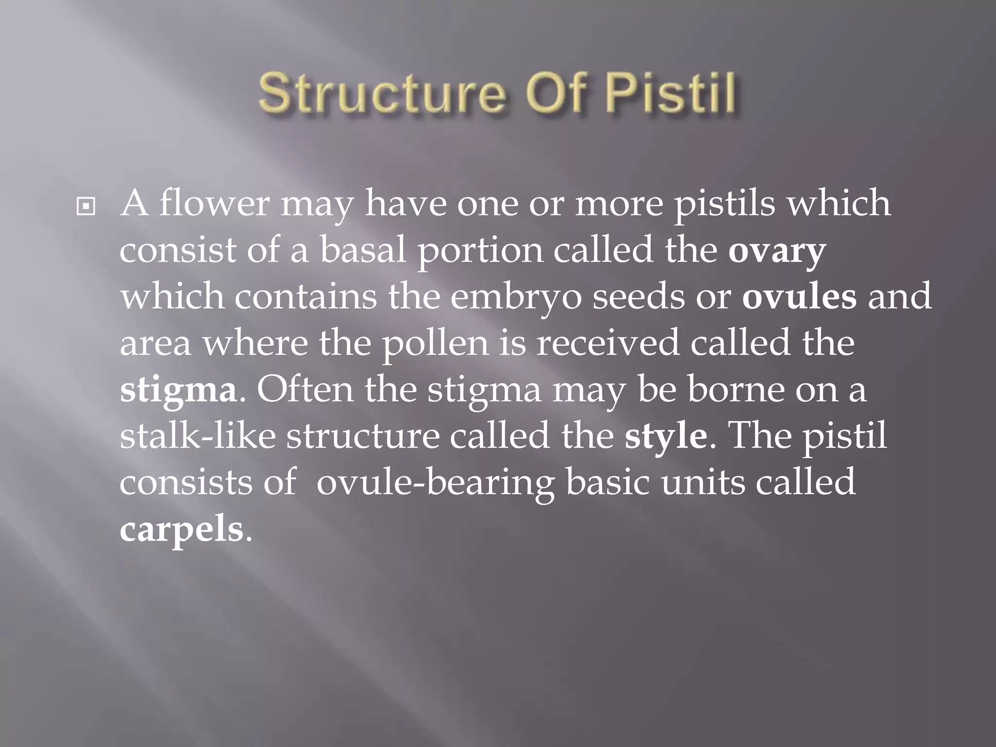 Presentation of class 4 on flower | PPTX