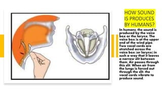 Presentation of class 8 ch sound | PPTX