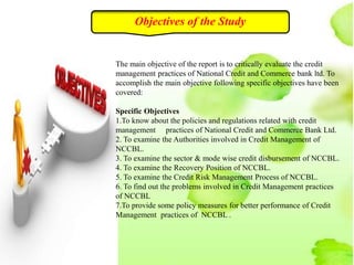 Internship Presention About Credit Management Topics | PPT