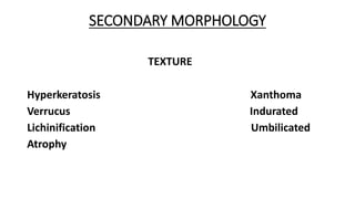 Presentation of Dermatosis/Skin Disease .pptx
