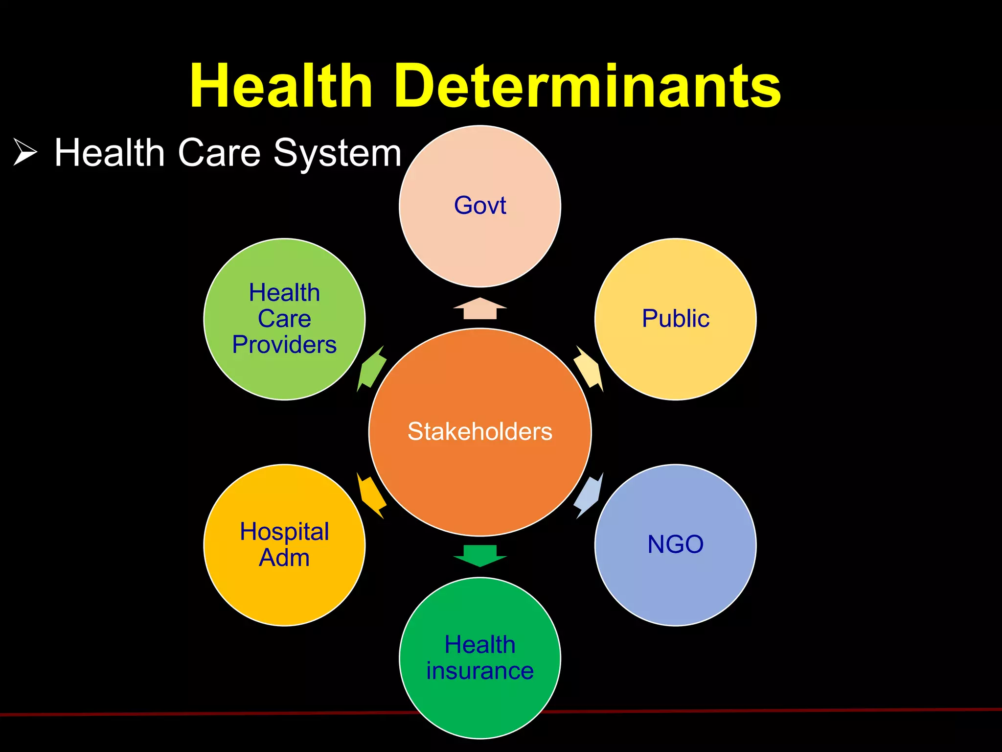 Presentation of determinants of health | PPTX