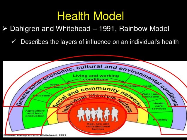 Presentation Of Determinants Of Health