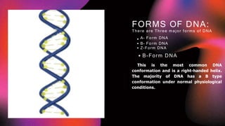 Presentation of DNA & Its Relpication.pptx