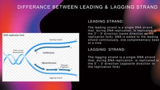 Presentation of DNA & Its Relpication.pptx