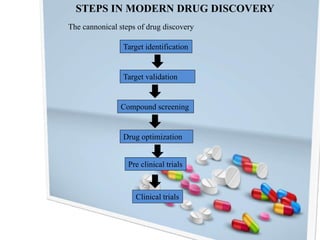 An Overview of Drug Discovery Processes.pptx | Pharmaceutical Industry ...