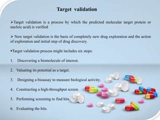An Overview of Drug Discovery Processes.pptx | Pharmaceutical Industry ...
