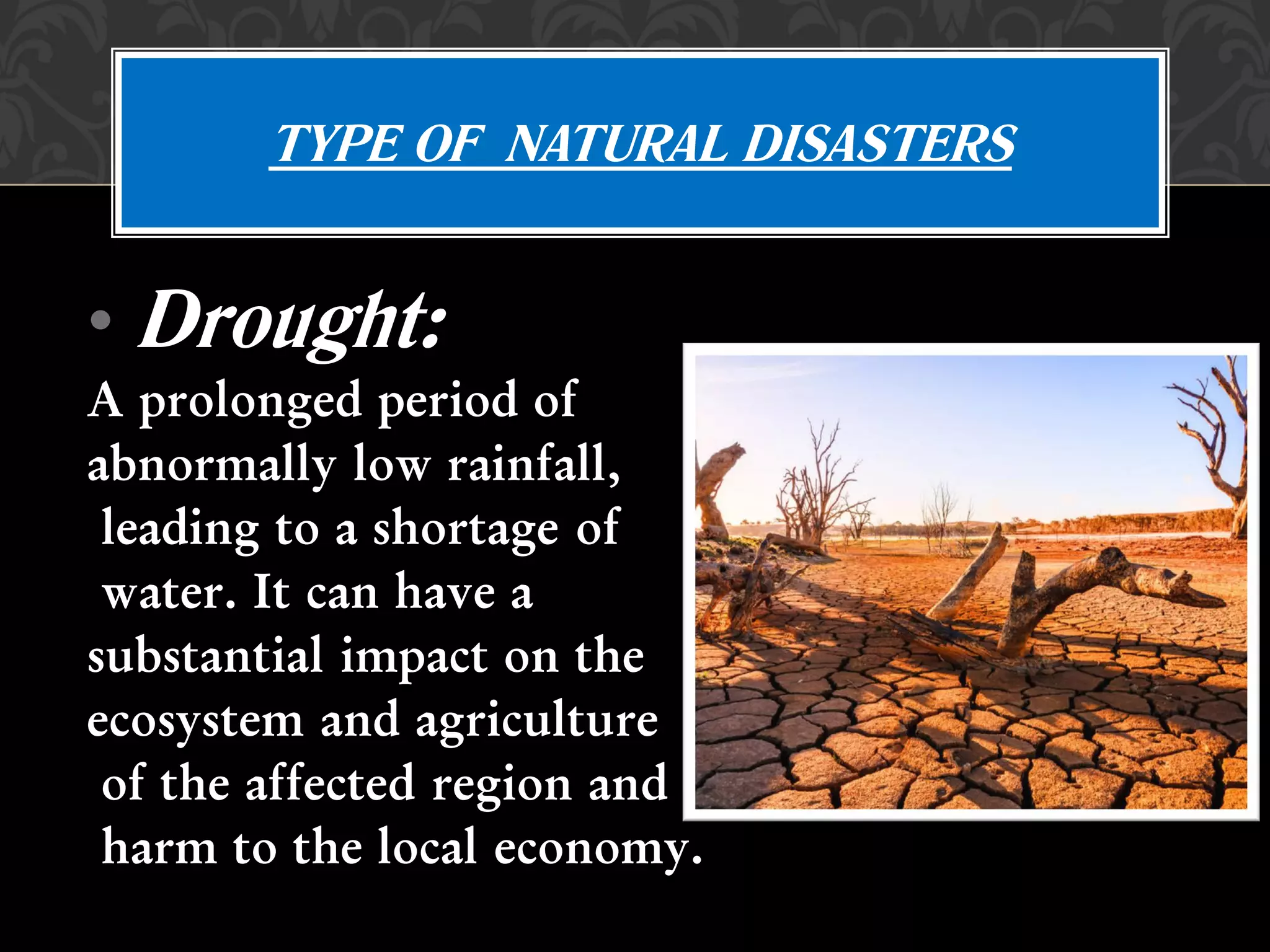 Environmental Disasters | PDF