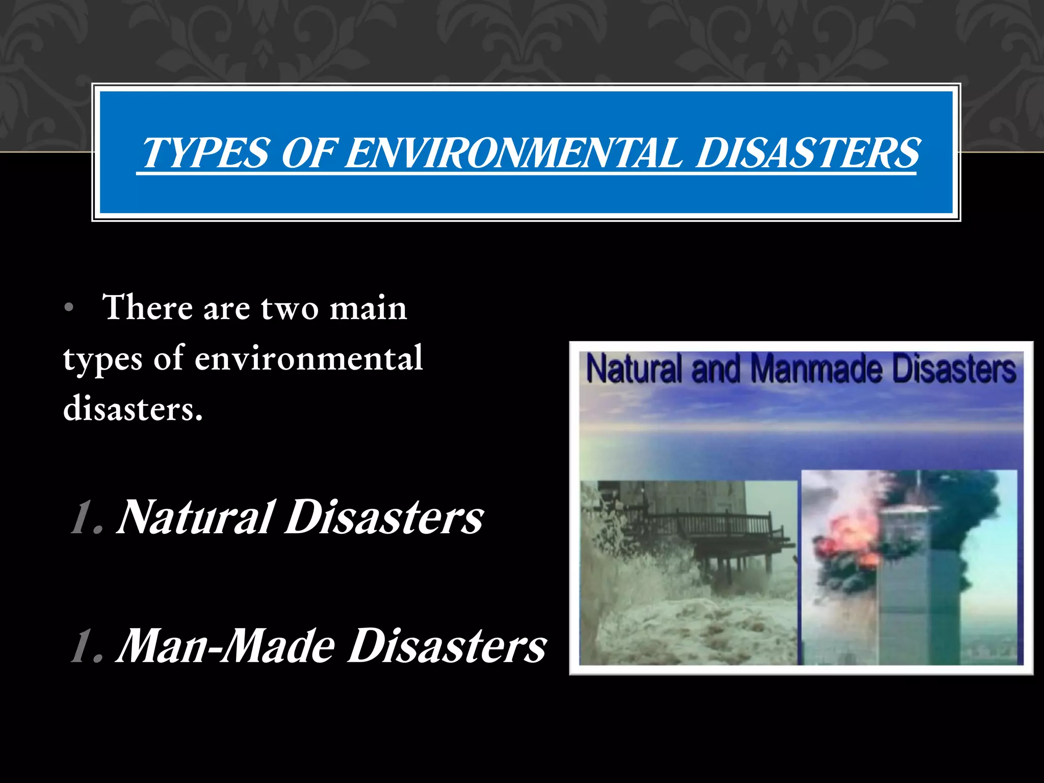 Environmental Disasters | PDF